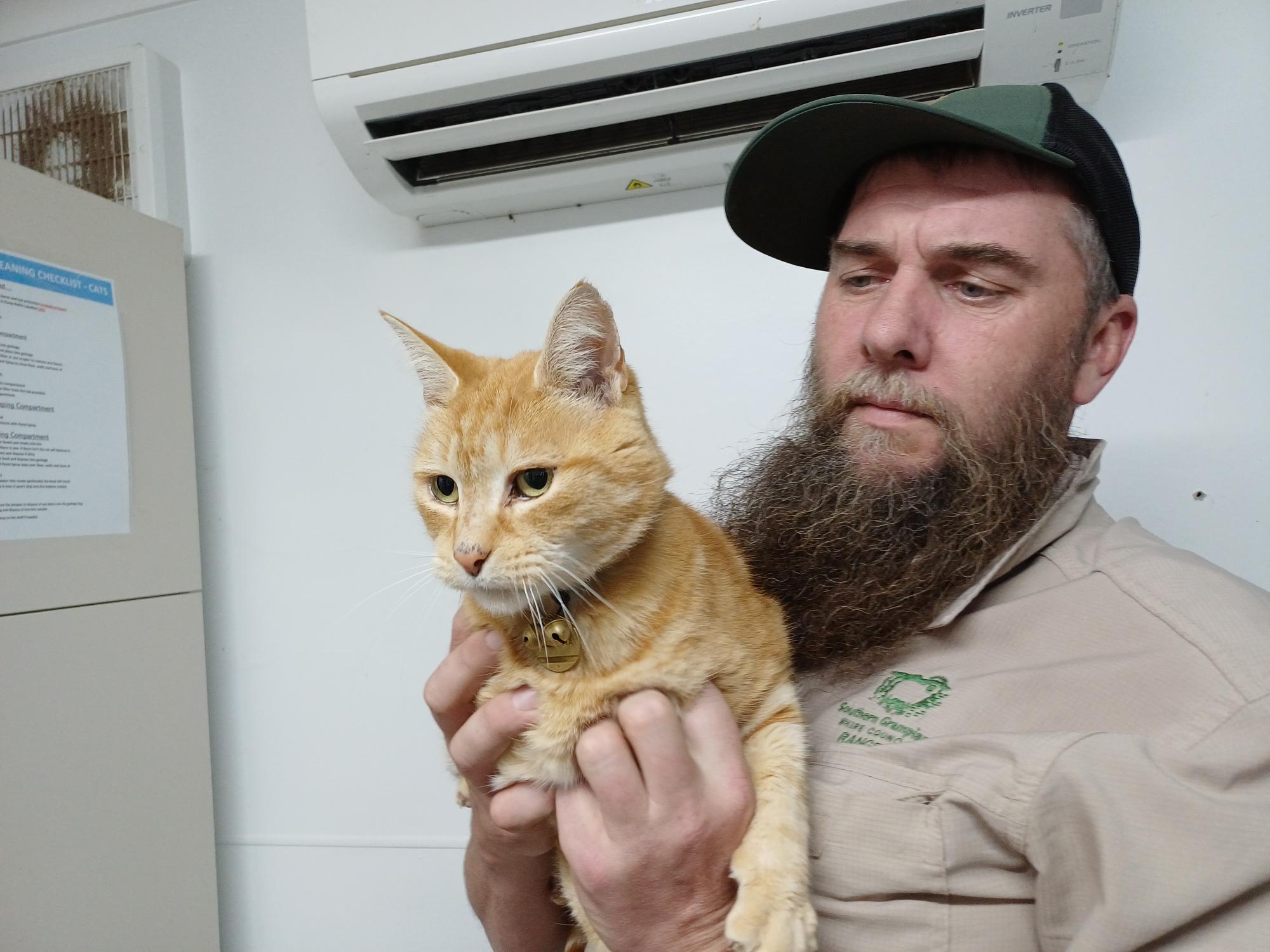 Animals for Adoption Southern Grampians Shire Council