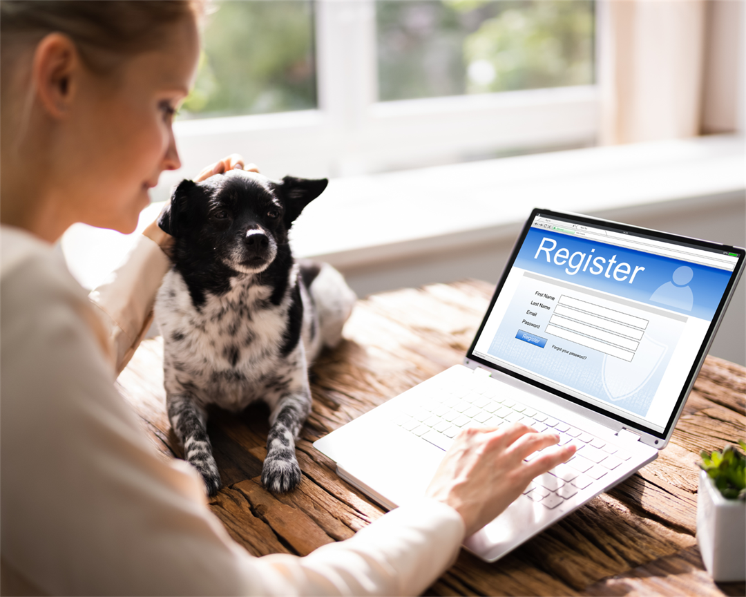 Registering a pet Southern Grampians Shire Council